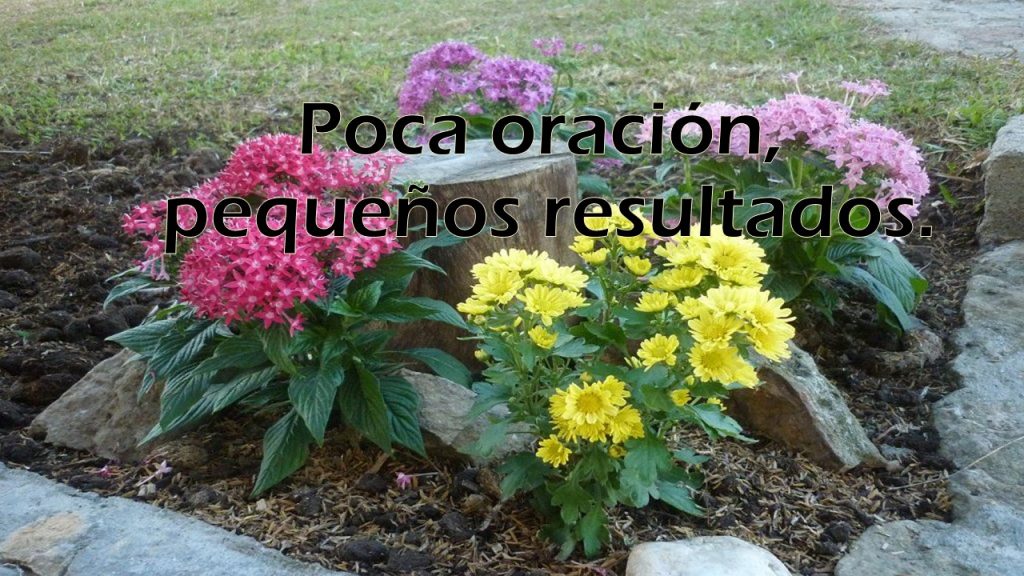 Poca oración, pequeños resultados. – Advenz